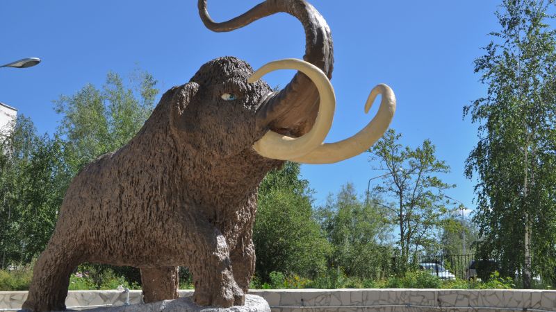 Iakoutsk - Yakoutie | Russie